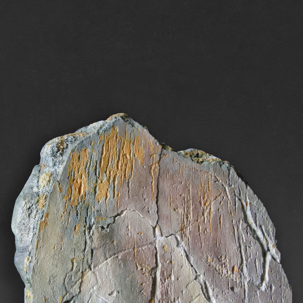 Réplica “Gravura” – Museu Foz Côa | Atelier de Réplicas
